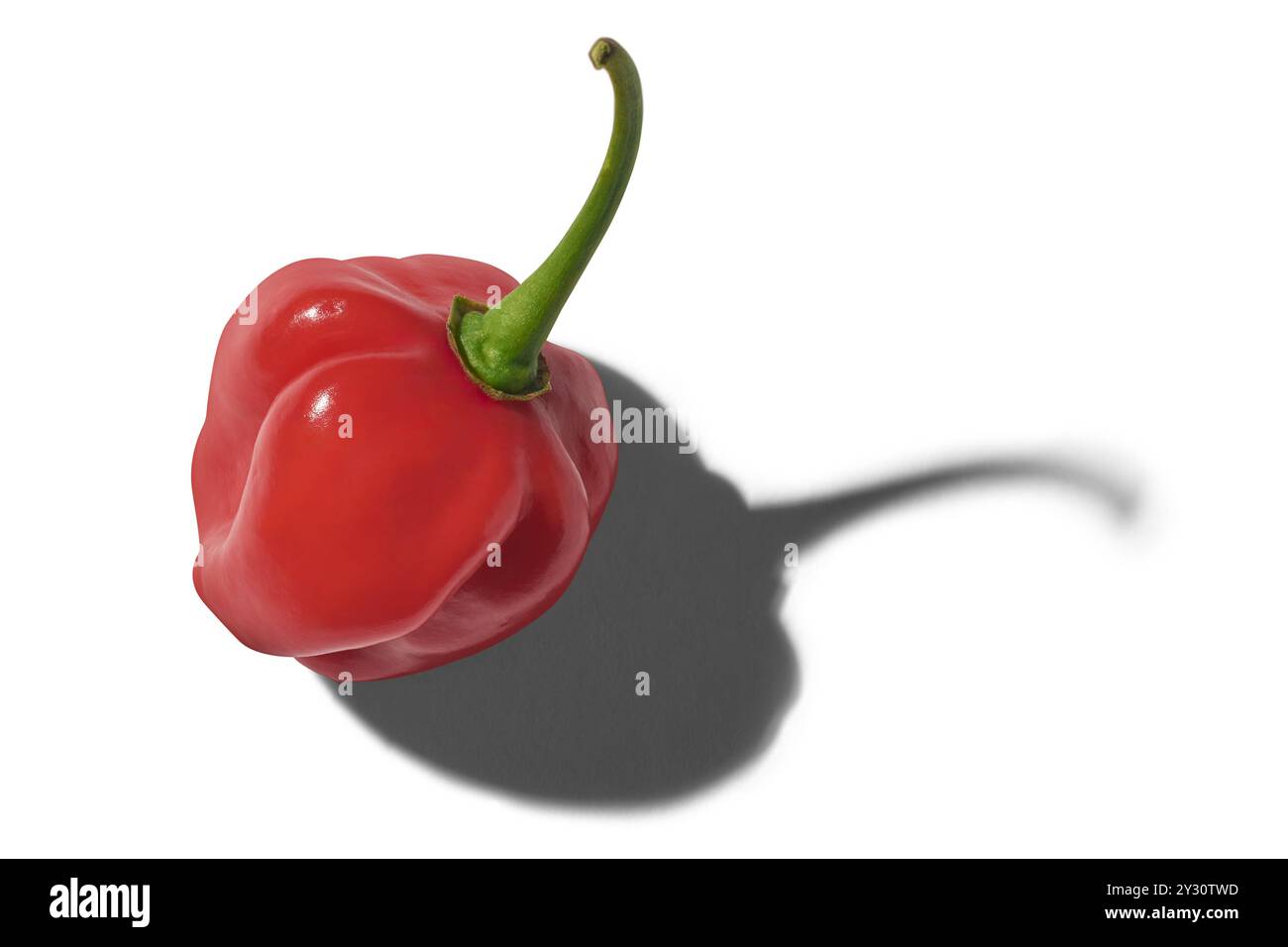 bright red chili pepper with hard shadows isolated white background ...