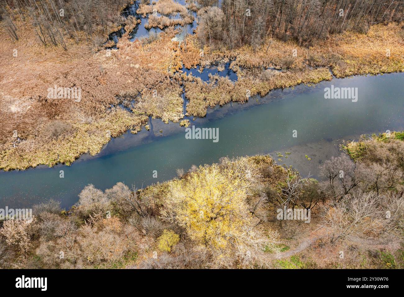 aerial view of a coastal wetland along the small forest river ...