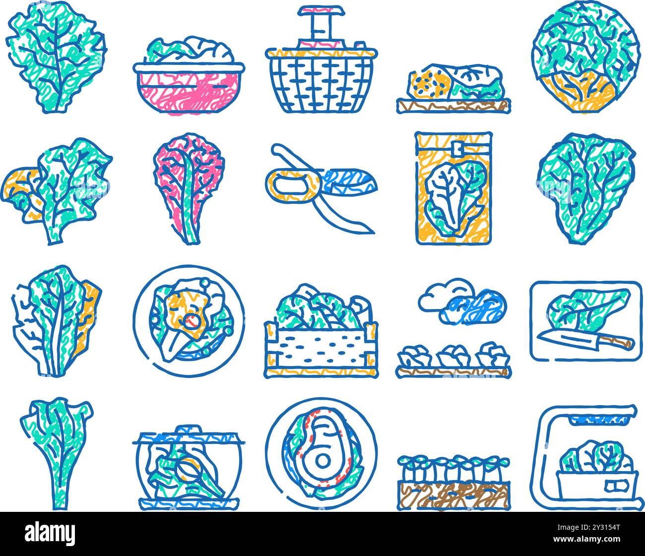 Lettuce hydroponic greenhouse vegetable farm Stock Vector Images - Alamy