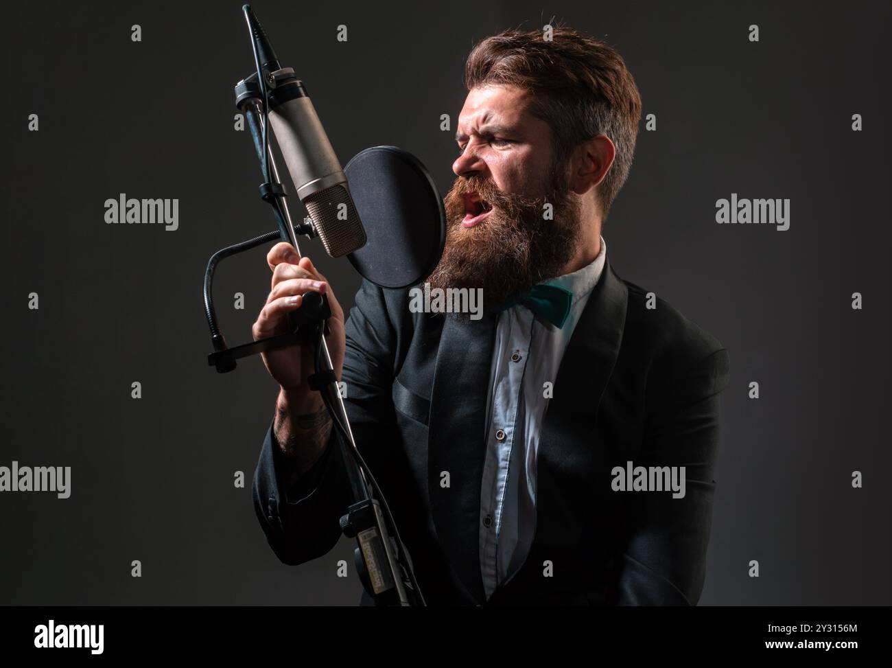 Classic singer man in recording studio. Music performance vocal. Singer ...