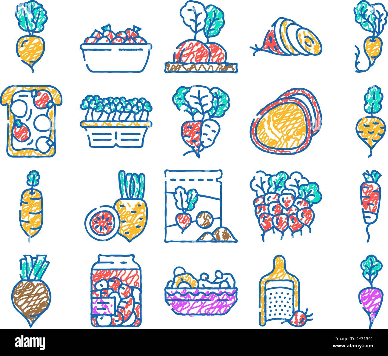 radish food organic vegetable icon hand drawn Stock Vector Image & Art ...