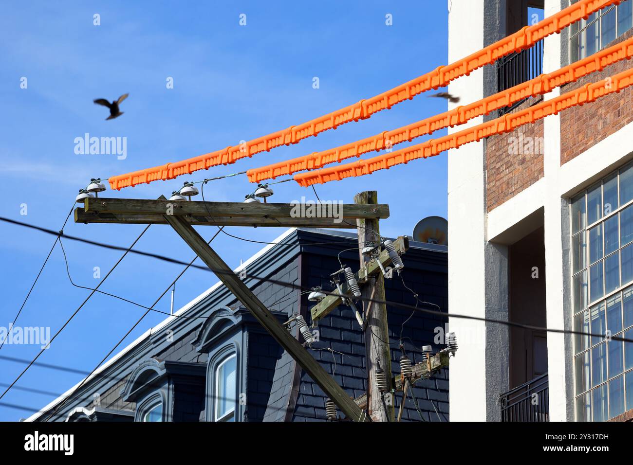 Power line covers, orange safety line guards covering electrical wires ...