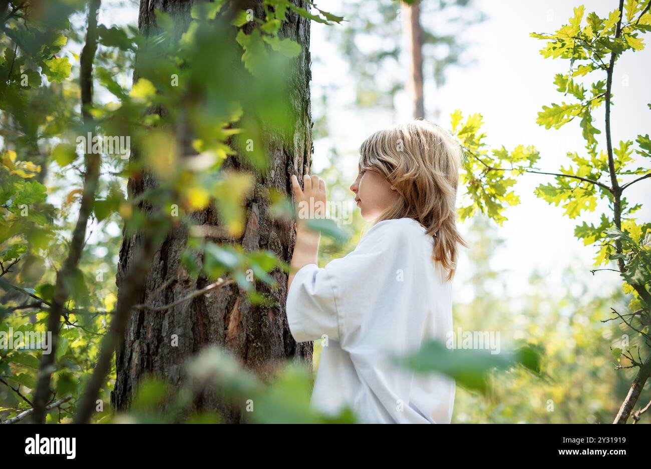 A teenage girl hugs a tree in the forest. Hugging and touching trees to ...