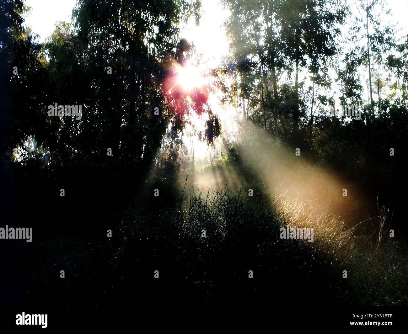 Late sun beam Stock Photo - Alamy