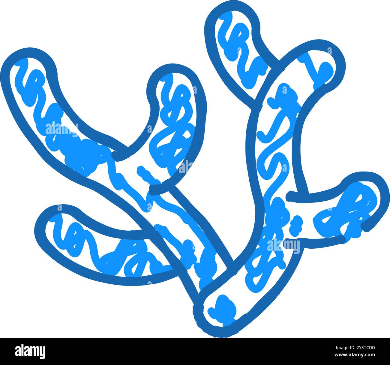 polyps coral icon doodle illustration Stock Vector Image & Art - Alamy