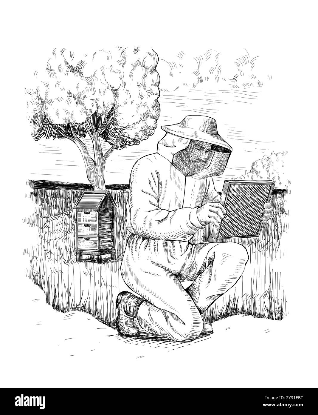Harvesting honey. Traditional pencil sketch of beekeeper in protective ... Harvesting honey. Traditional pencil sketch of beekeeper in protective ...
