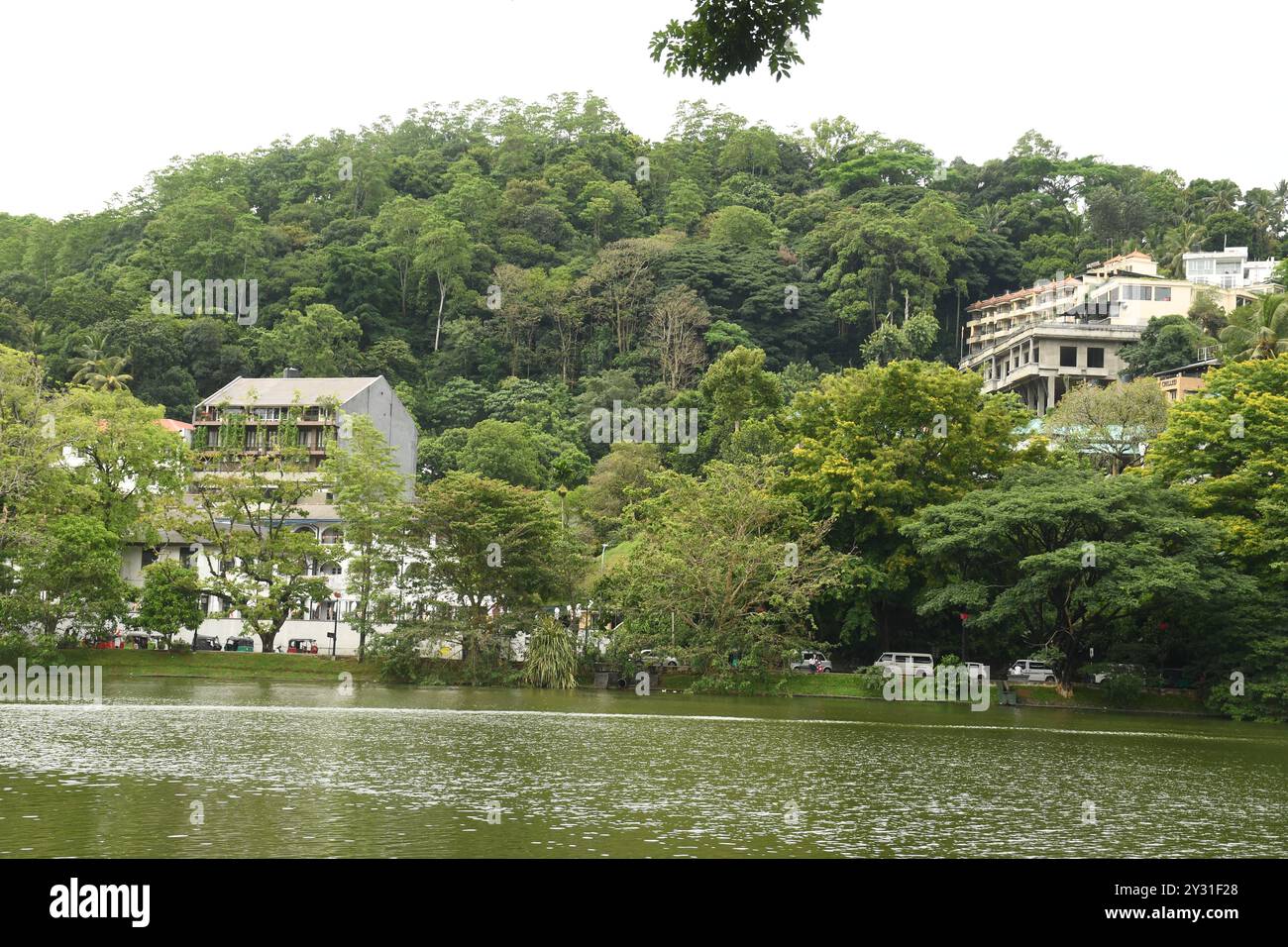 A scenic view of Kandy Lake in Sri Lanka with greenery, mountains ...
