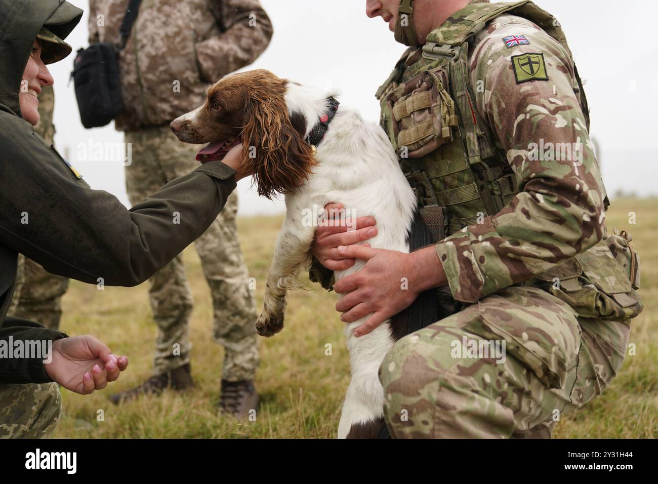 Ukrainian army personnel meet military working dog Sophie and her ...