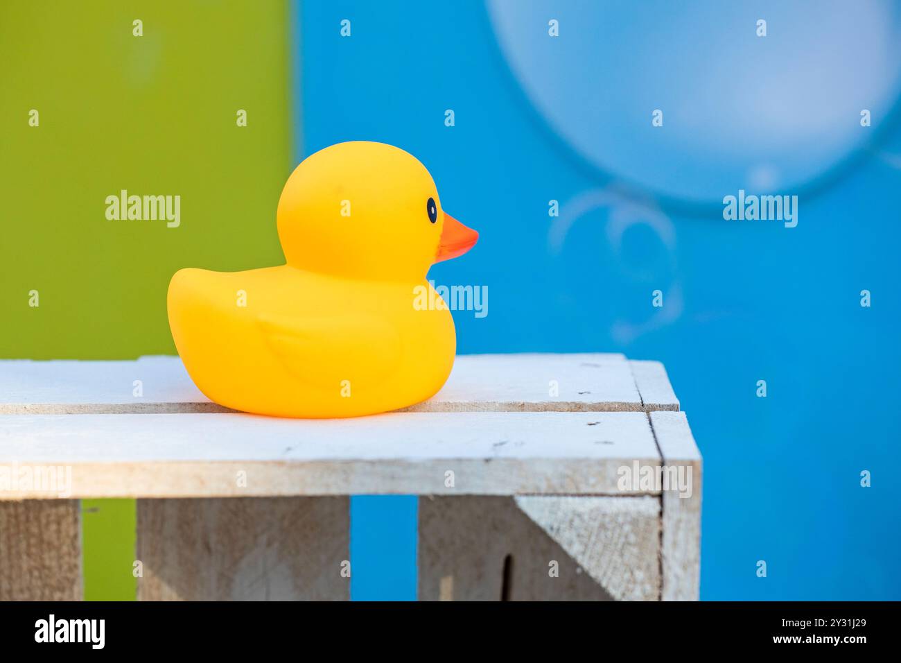 Classic rubber duck hi-res stock photography and images - Alamy