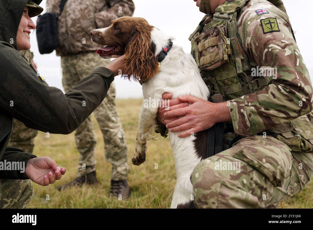 Ukrainian army personnel meet military working dog Sophie and her ...
