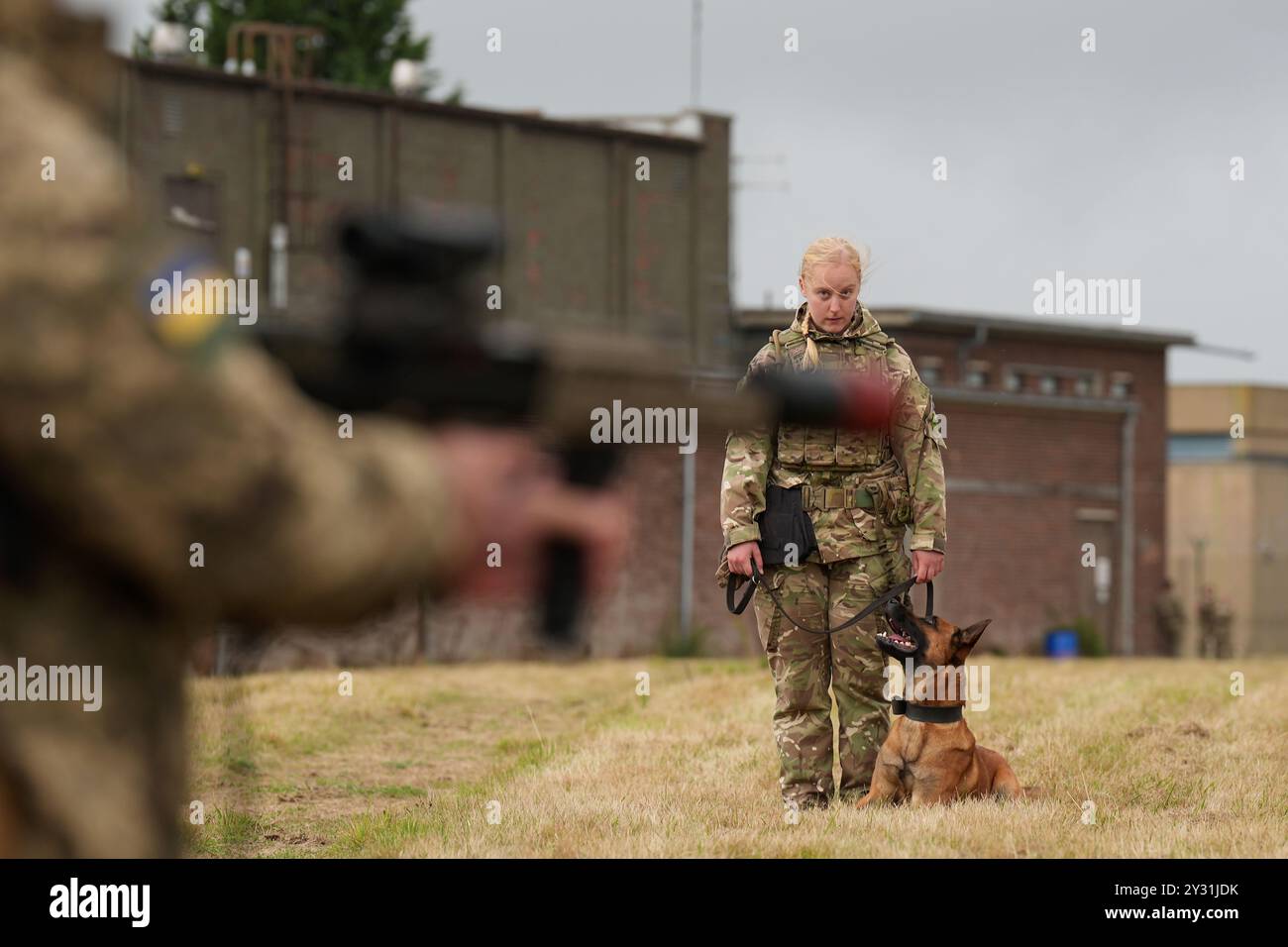 British Army dog handler Private Freya Brown with her military working ...