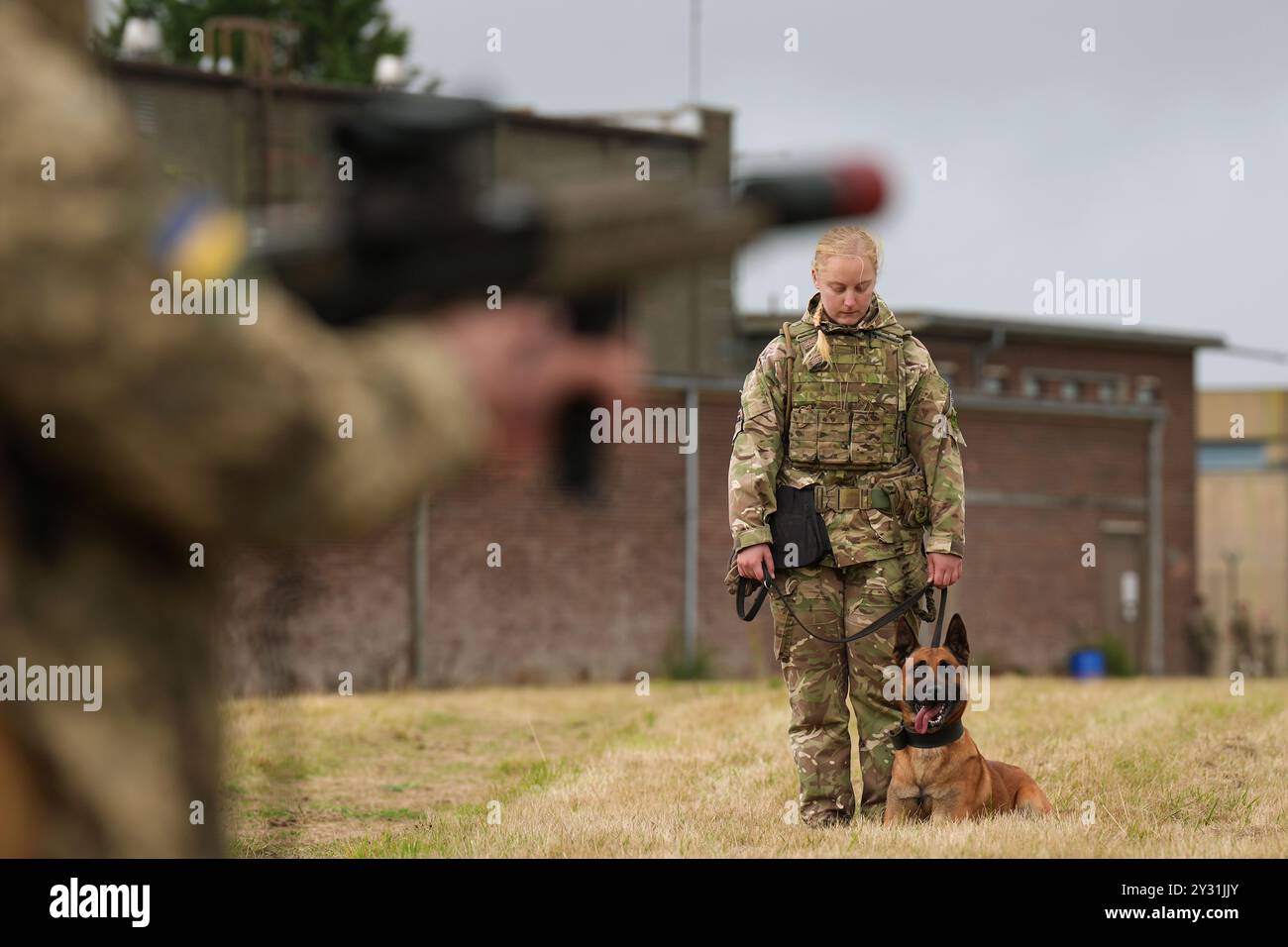 British Army dog handler Private Freya Brown with her military working ...