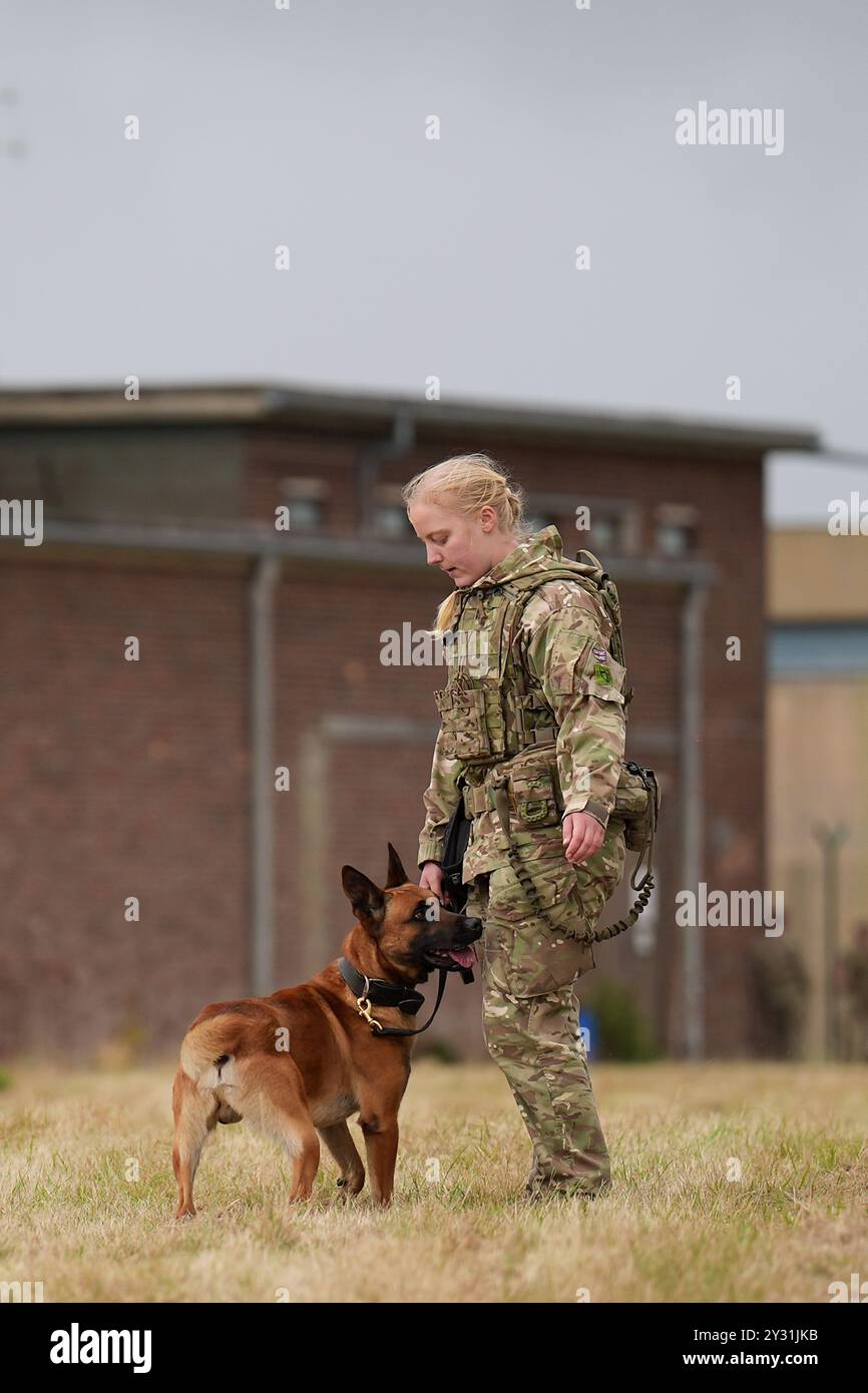 British Army dog handler Private Freya Brown with her military working ...