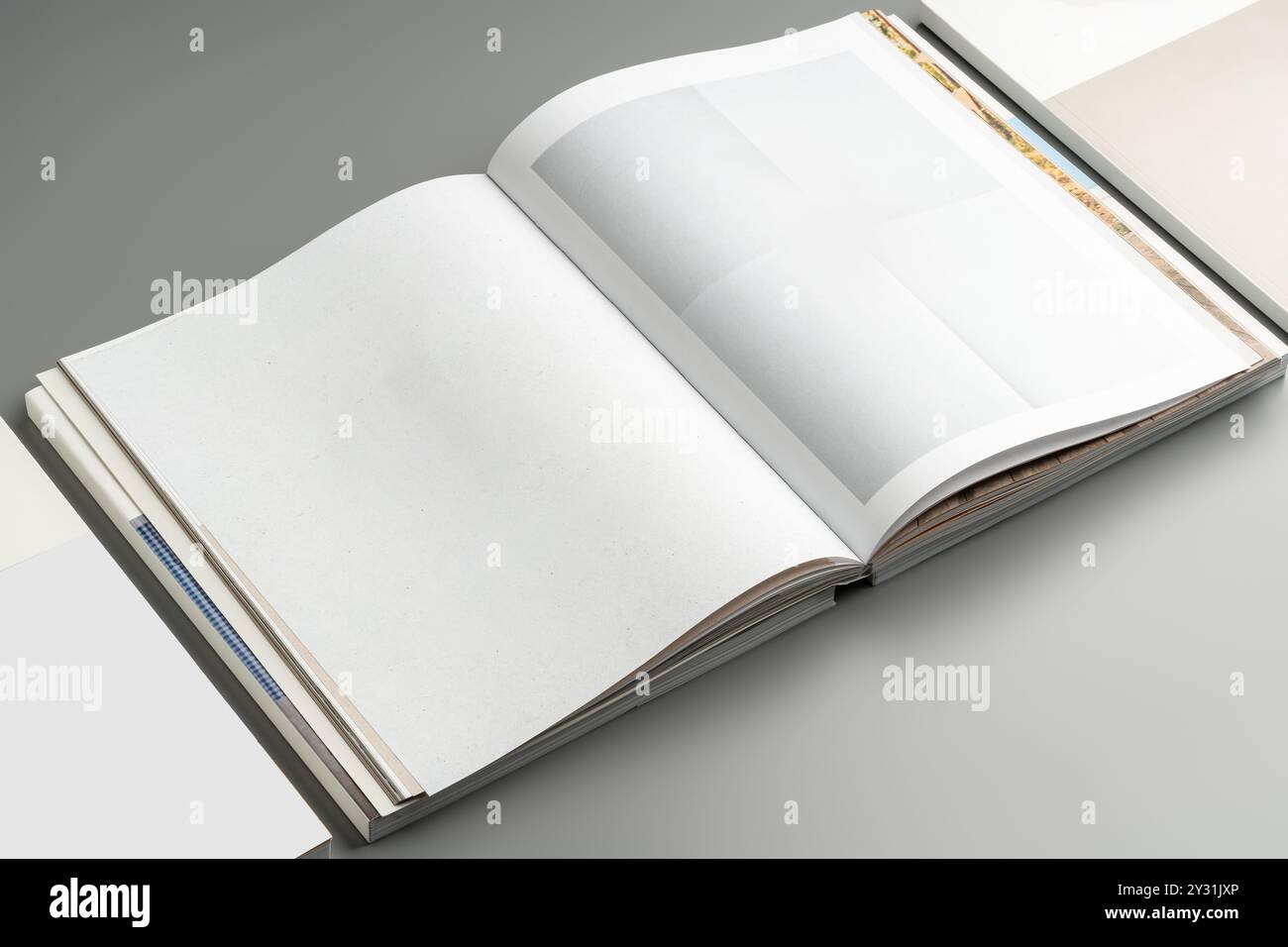 Various color swatches neatly arranged on a gray surface showcasing ...