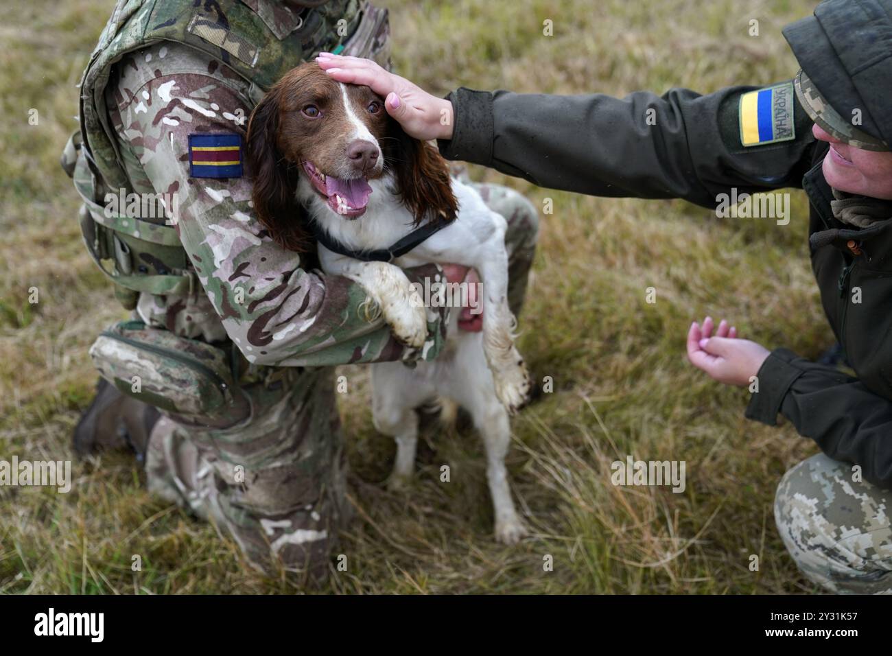 Ukrainian army personnel meet military working dog Sophie and her ...