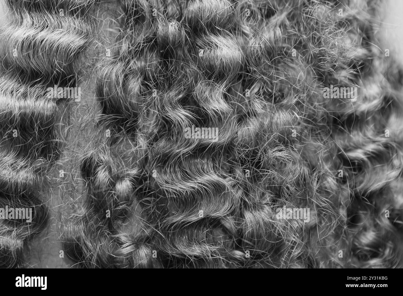 Beautiful Curly Hairstyle: Exploring Pattern and Texture Stock Photo ...
