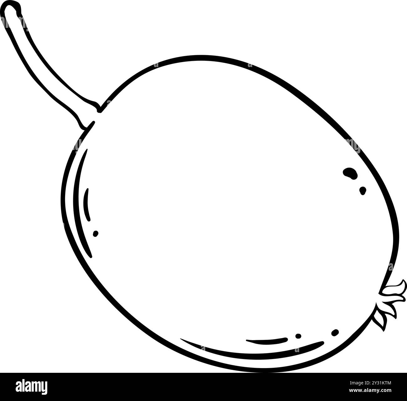 Kiwi Fruit Isolated Outline Illustration Stock Vector Image & Art - Alamy