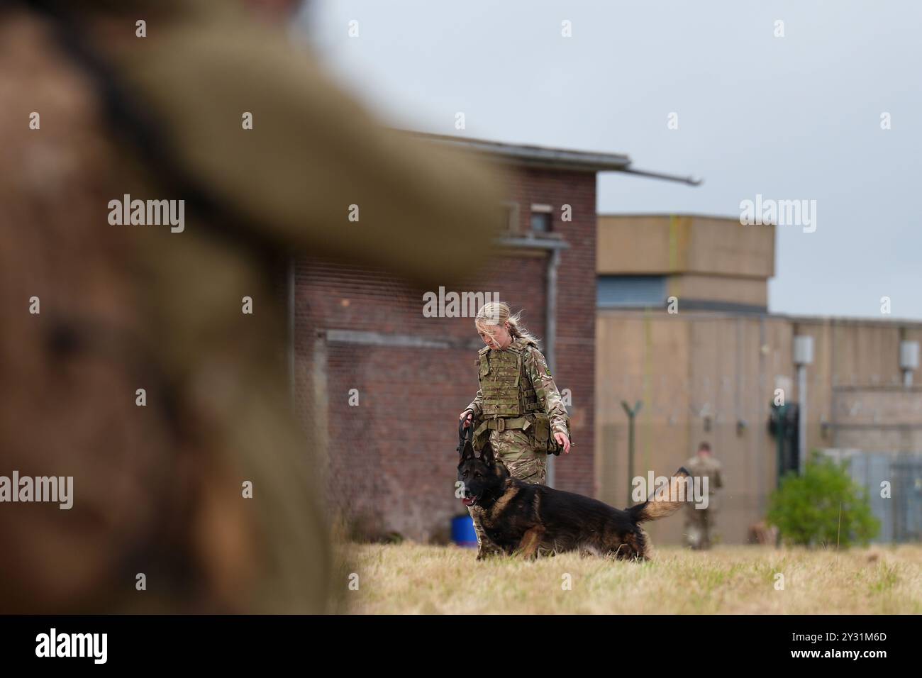 British Army dog handler with her military working dog during a ...