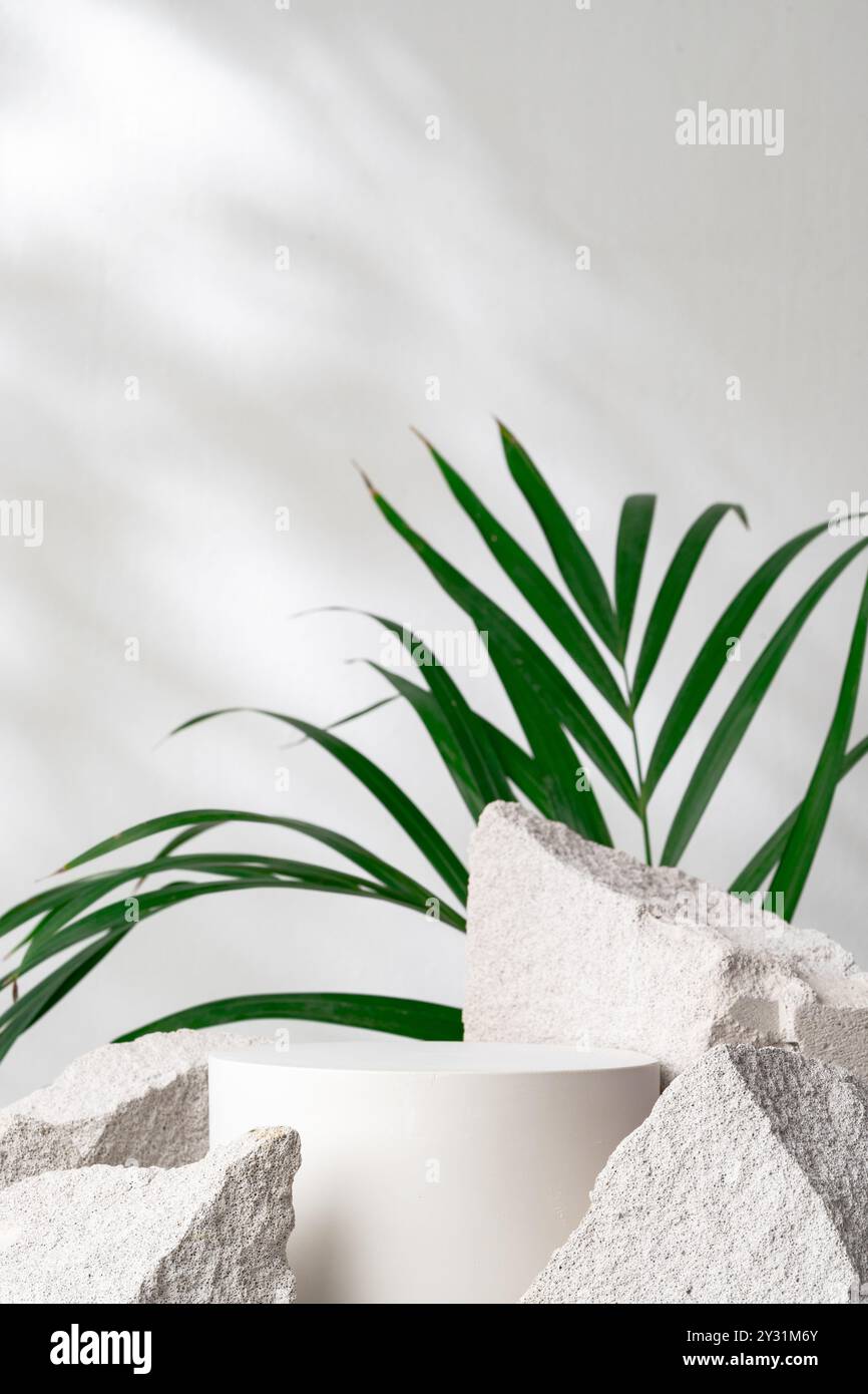 A minimalistic display featuring a round pedestal surrounded by ...
