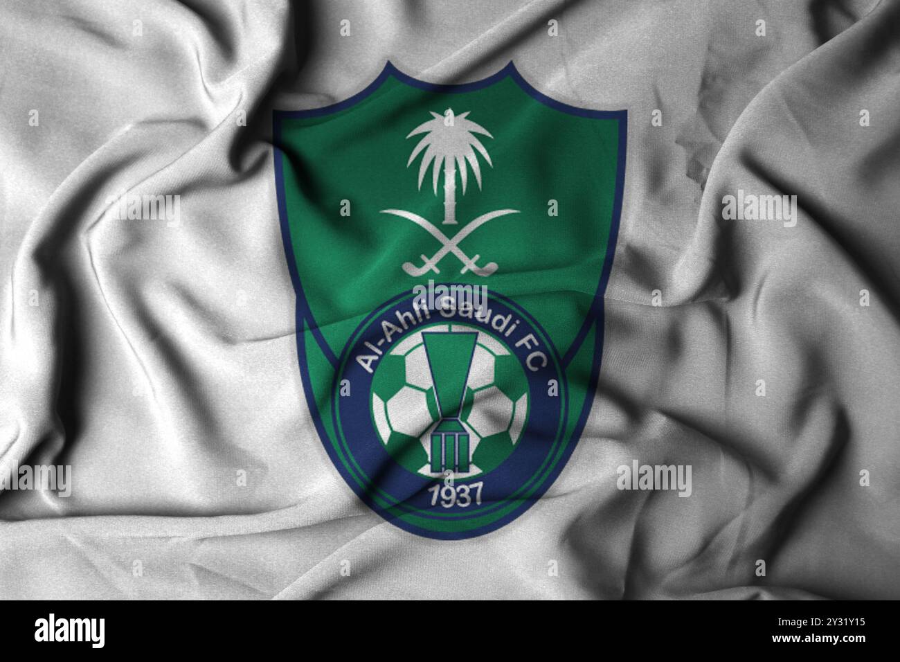 pringsewu, Lampung; September 12, 2024; flag logo texture selective ...