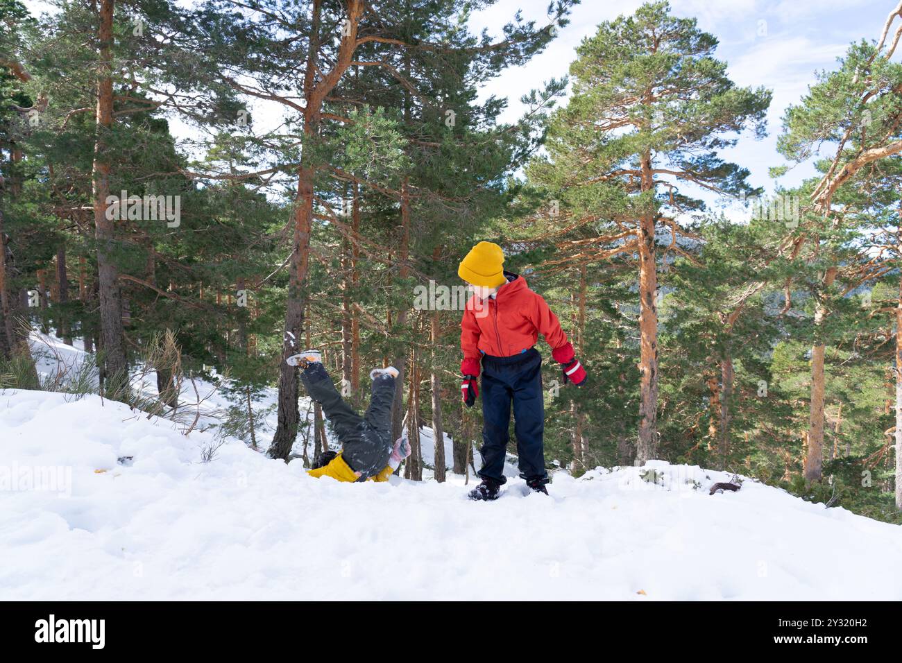 Children playing in a snowy forest, one falling in the snow Stock Photo ...