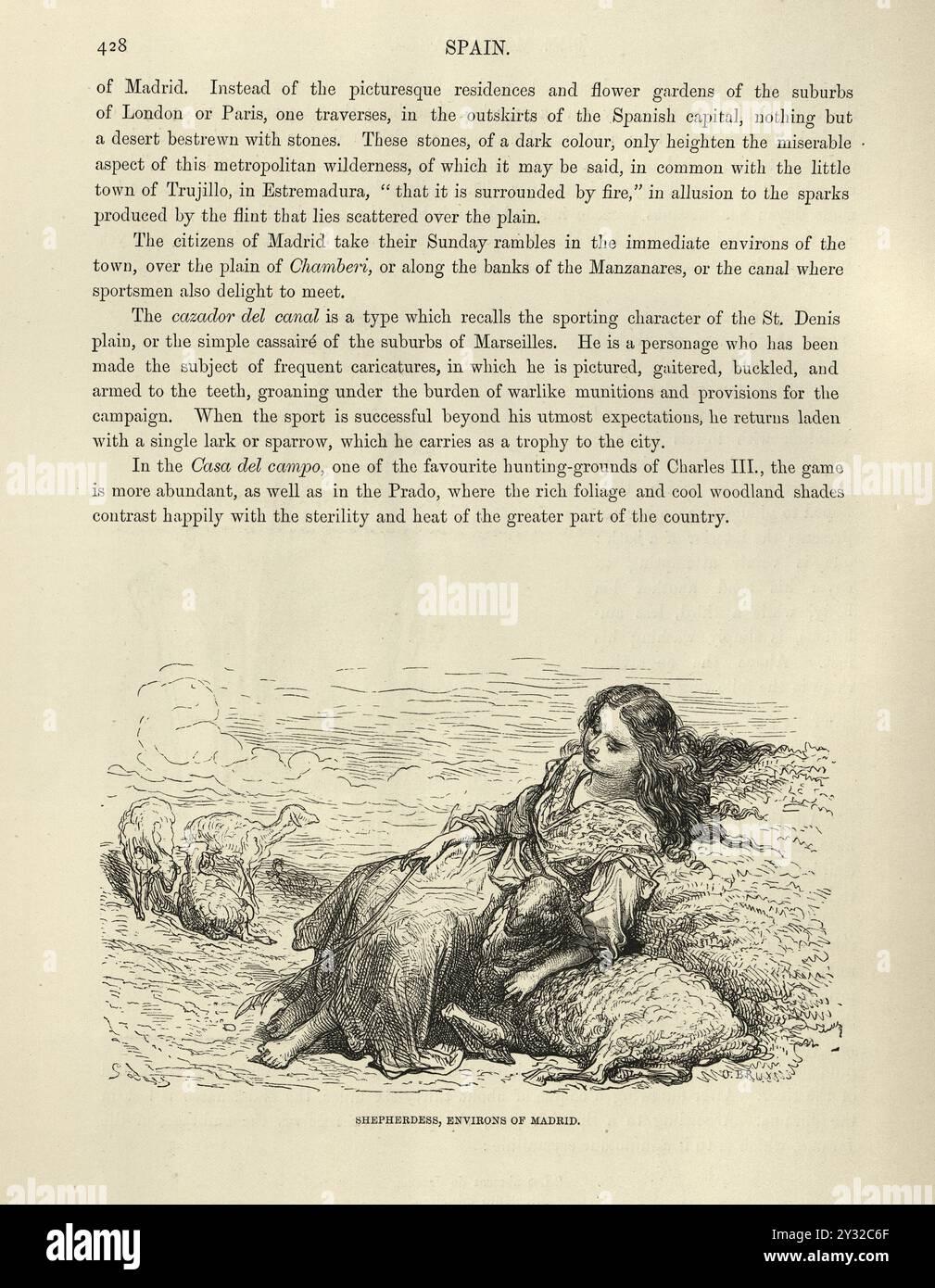 Vintage illustration of Shepherdess with her flock of sheep, Madrid ...