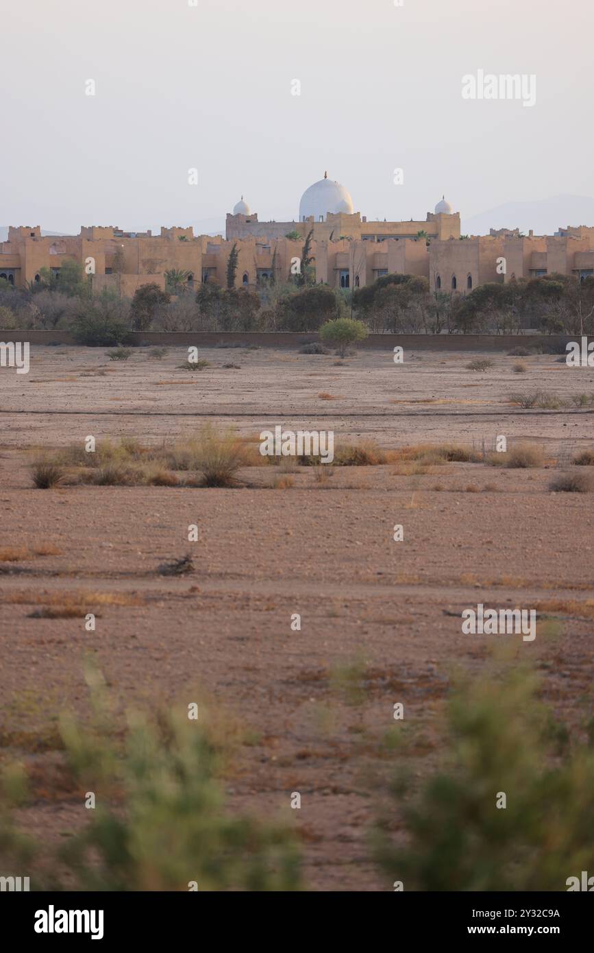 Olive trees in the Marrakech region of Morocco. Marrakech, Marrakech ...
