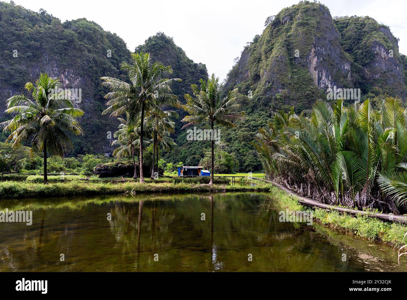 beautiful karst landscape in southern part of sulawesi island in ...
