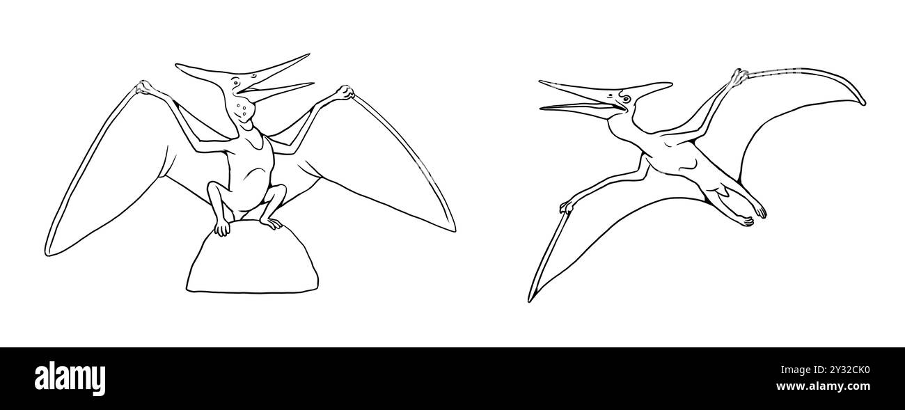 Family of Pterosaurs - Pteranodon. Dinosaur illustration to color in ...