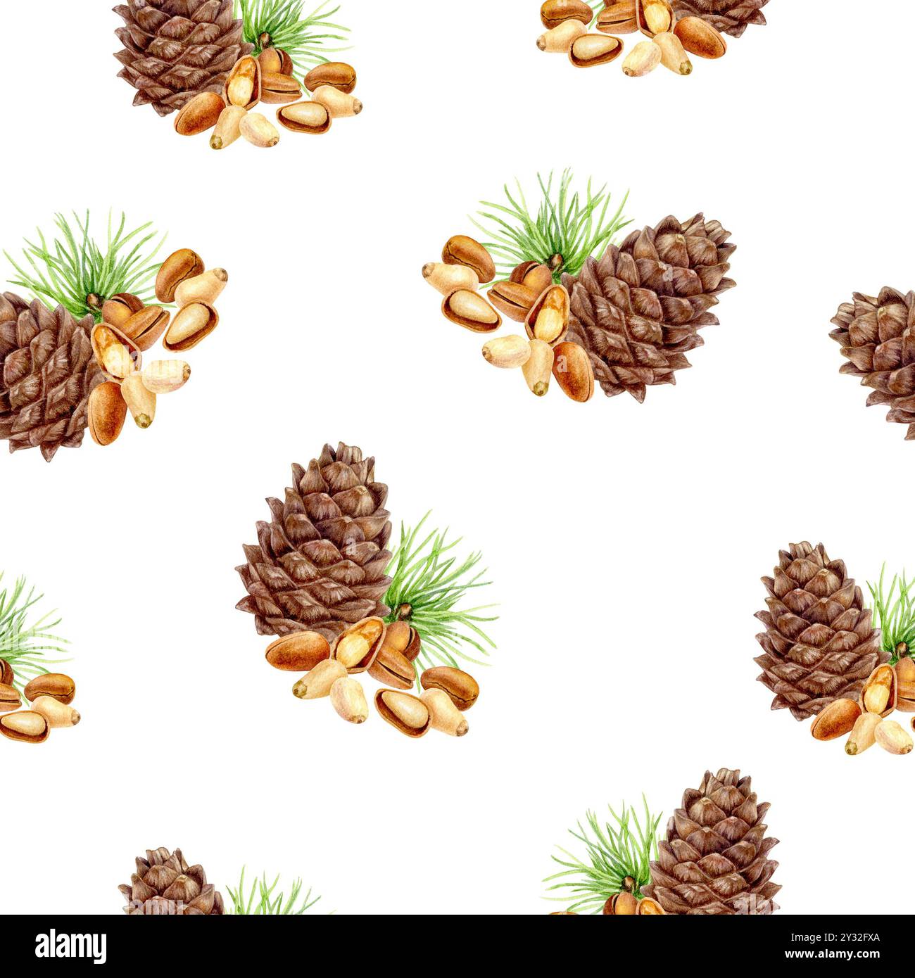 Seamless Watercolor Pinecone and Cedar Nut Pattern on White Background ...