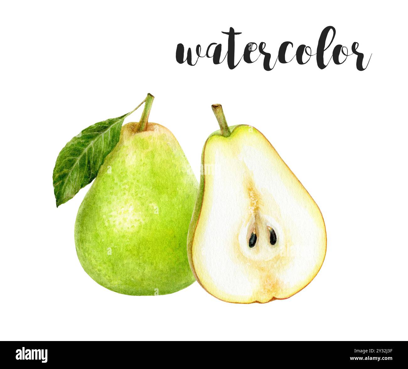 Hand-Painted Watercolor Green Pears Illustration Stock Photo - Alamy