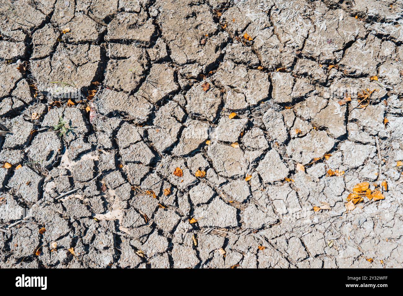 Cracked clay bottom of a dried-up lake (close-up). Concept of the ...