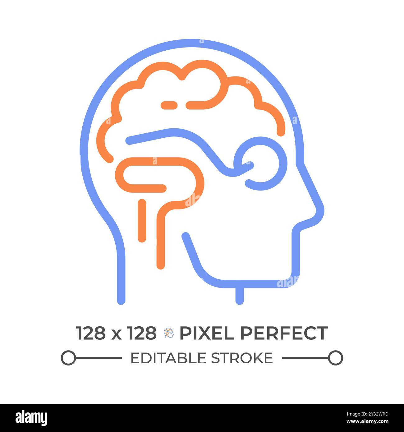 Visual processing brain Stock Vector Images - Alamy