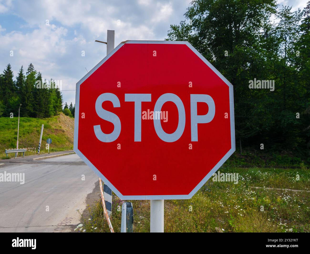 Bright red stop sign at an intersection surrounded by trees during ...