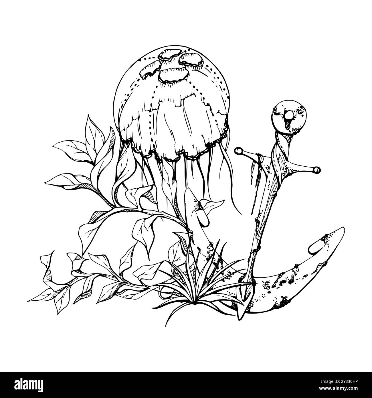 Jellyfish with anchor algae Marine life, sea ocean underwater creatures ...