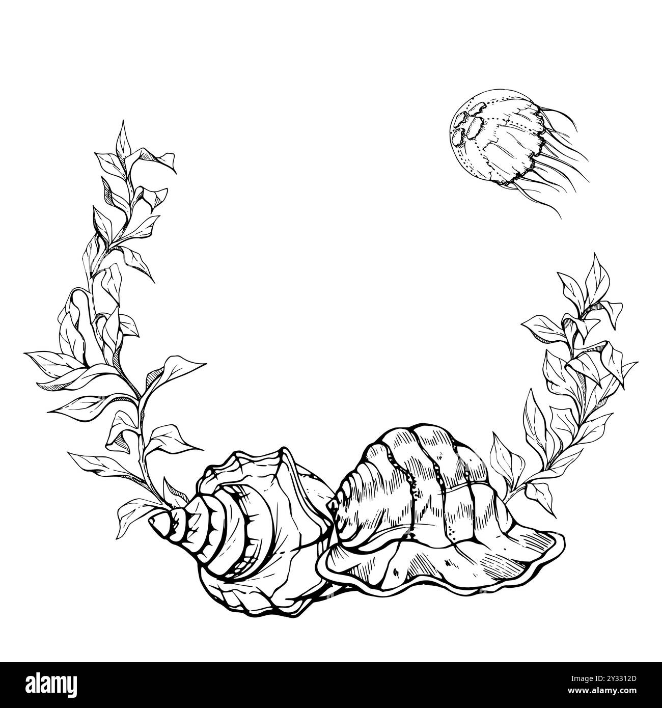 Marine life, sea ocean underwater creatures fish, shells algae seaweed ...