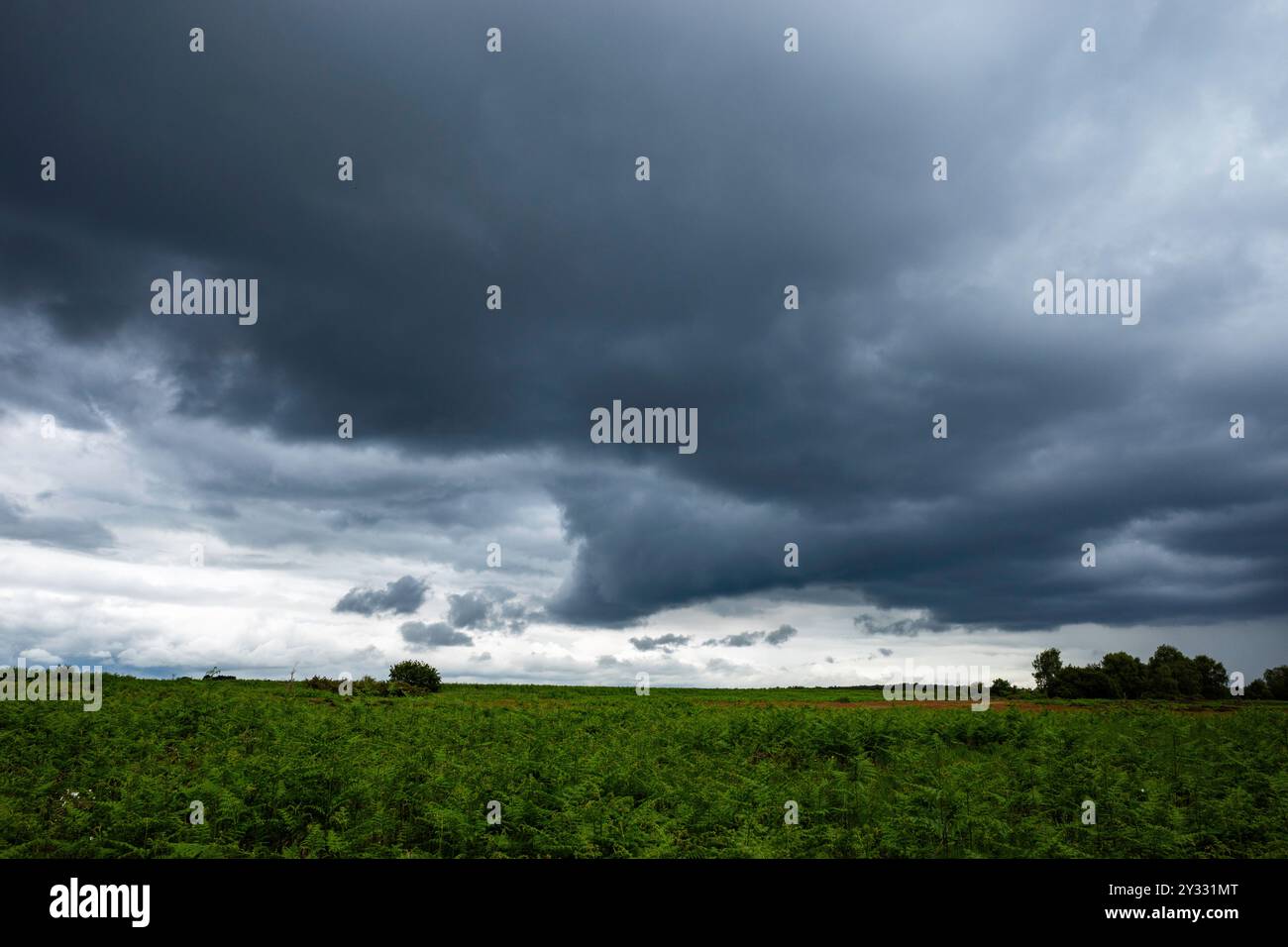 Clouds heathland hi-res stock photography and images - Alamy