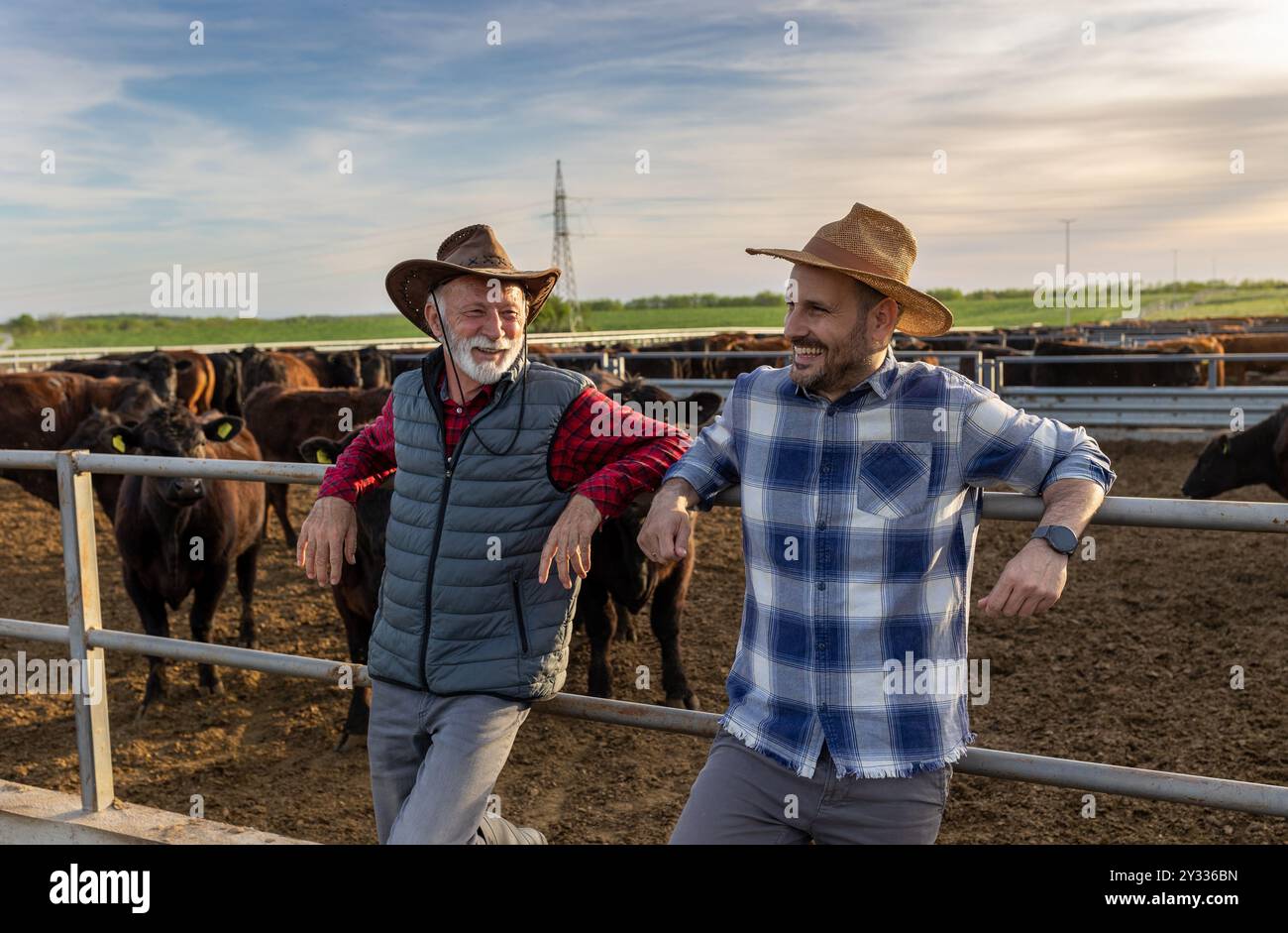 Two satisfied farmers, father and son, leaning on fence of cattle barn ...