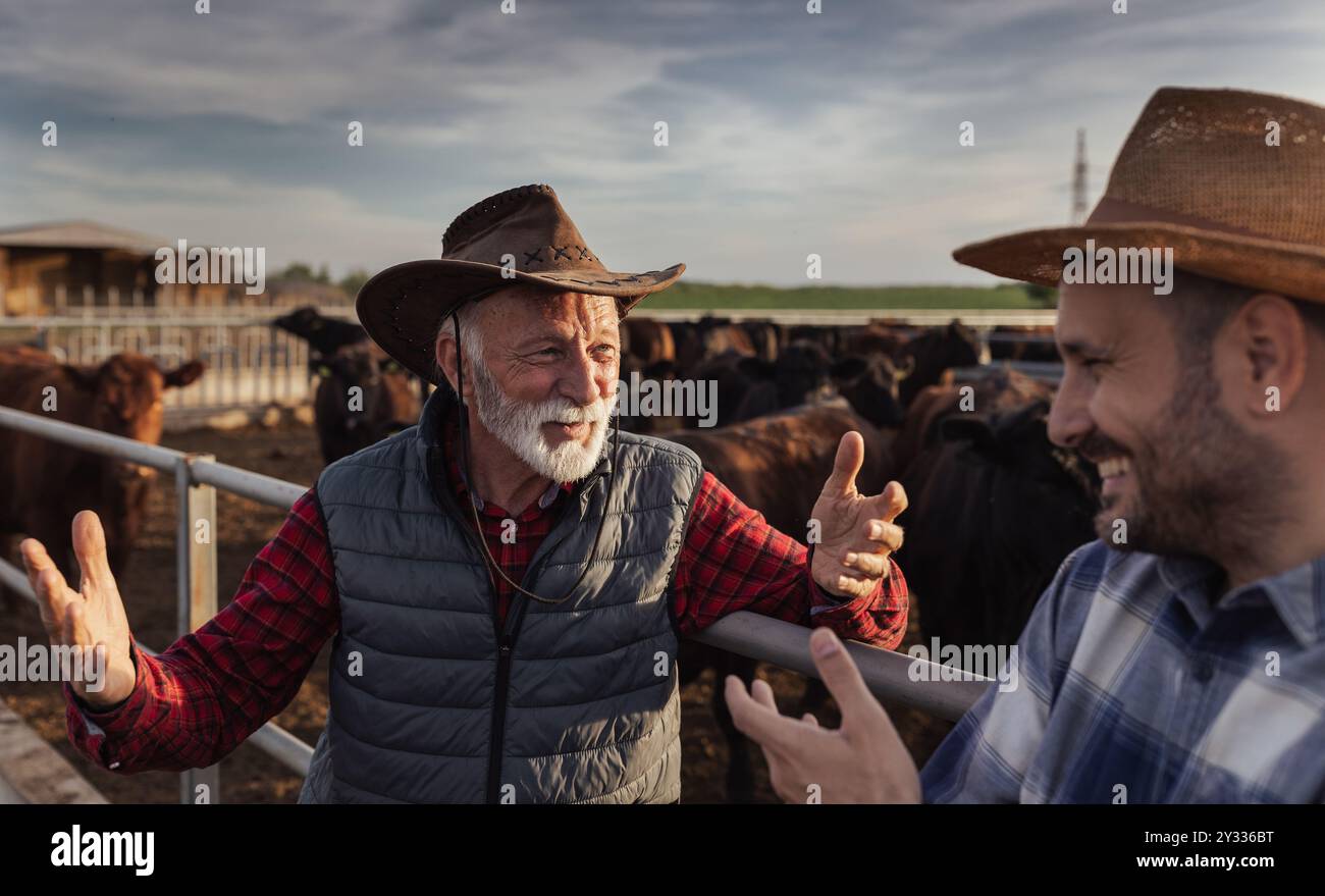 Two farmers with hats standing in front of cattle on ranch leaning on ...