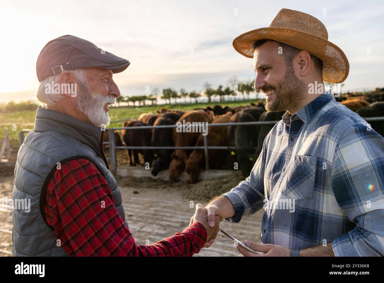 Two farmers, young and mature, shaking hands and making deal in front ...