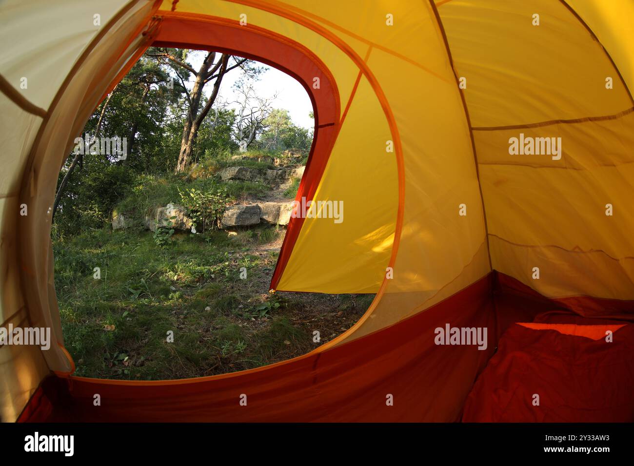 Modern camping tent in wilderness at summer, view on forest through ...