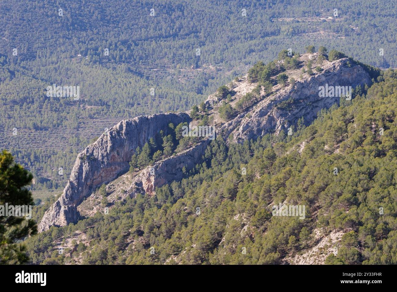 Landscape with the medieval site of the Atalaya de el Castellar from ...