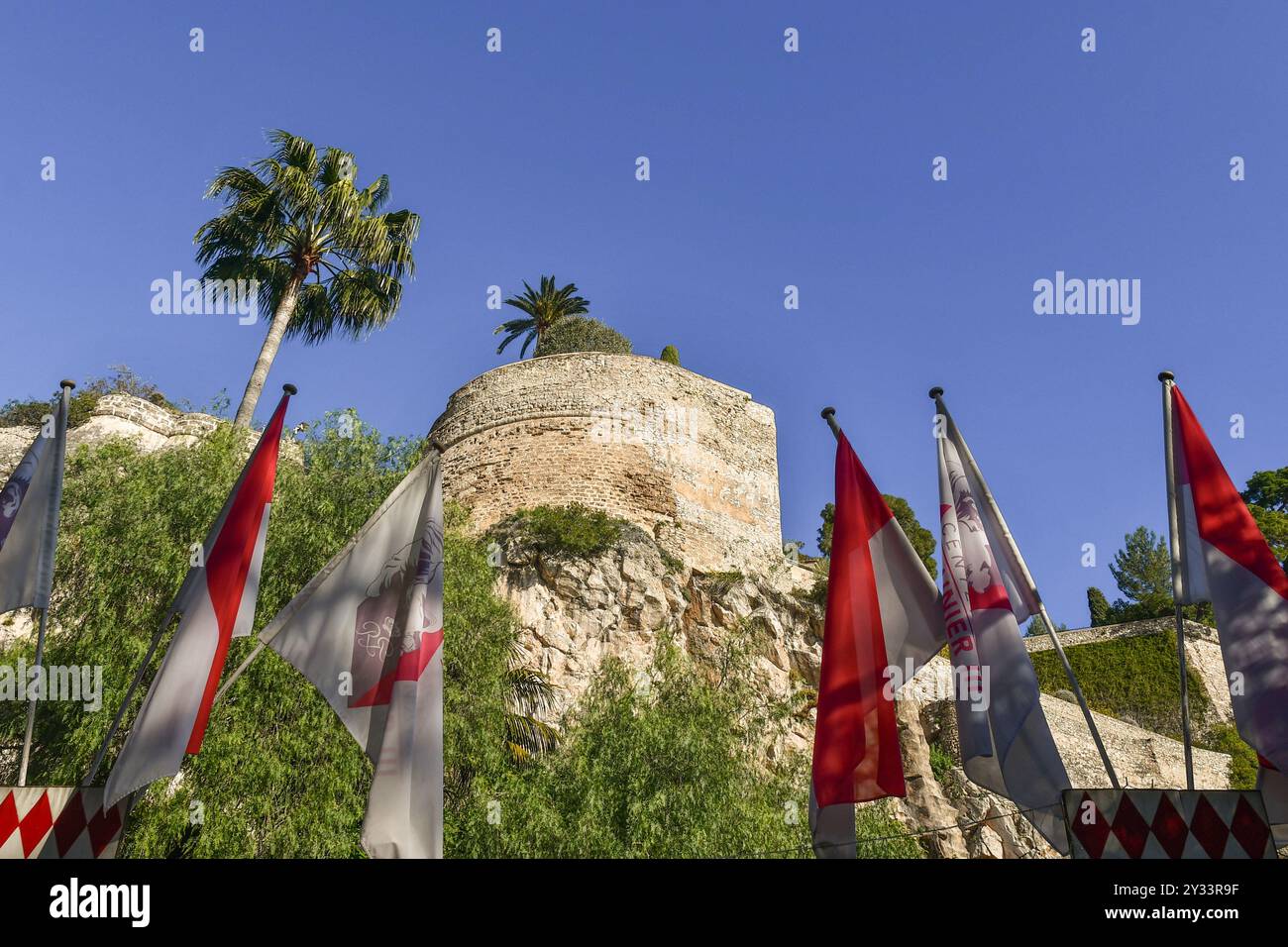 Low-angle view of the Prince's Palace on the Rock with flags ...