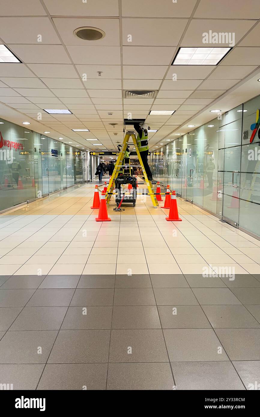 A man is on a ladder in a hallway with orange cones. The scene is ...