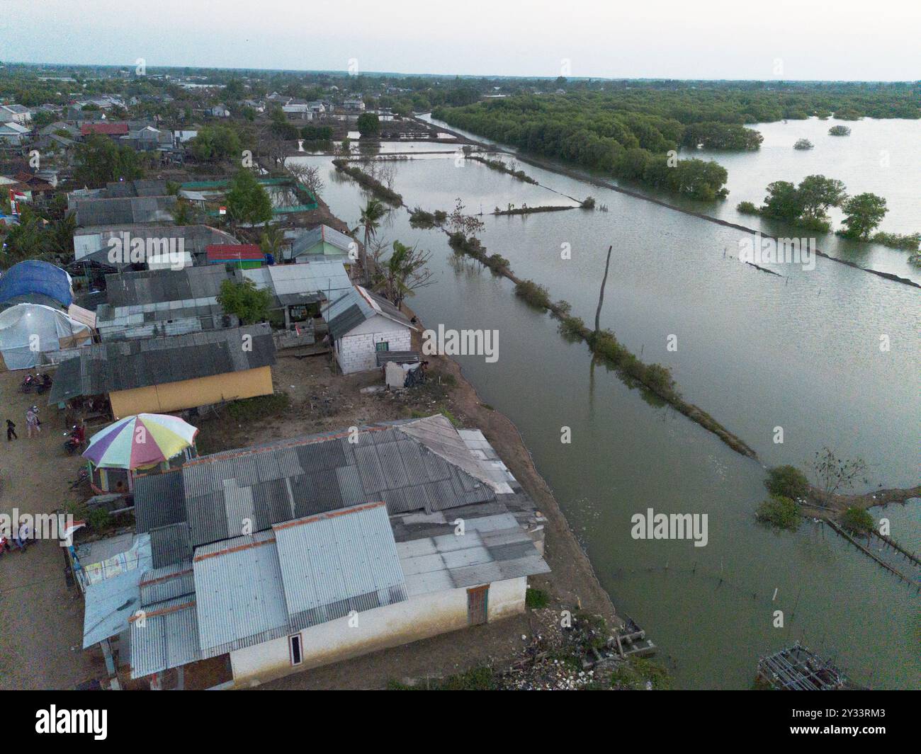 Climate change: sinking village of Beting, Bekasi regency, Java ...
