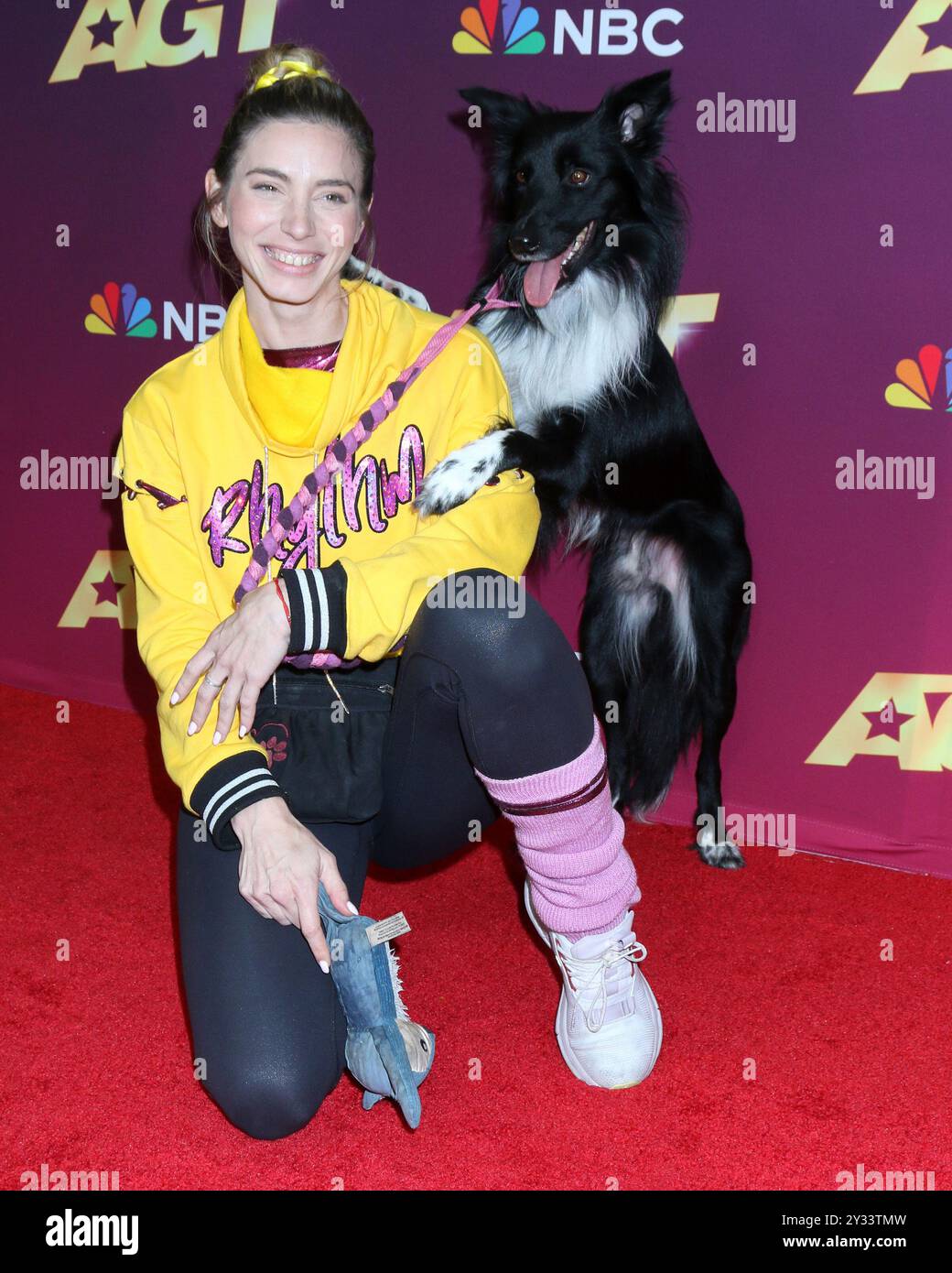 Roni dog hi-res stock photography and images - Alamy