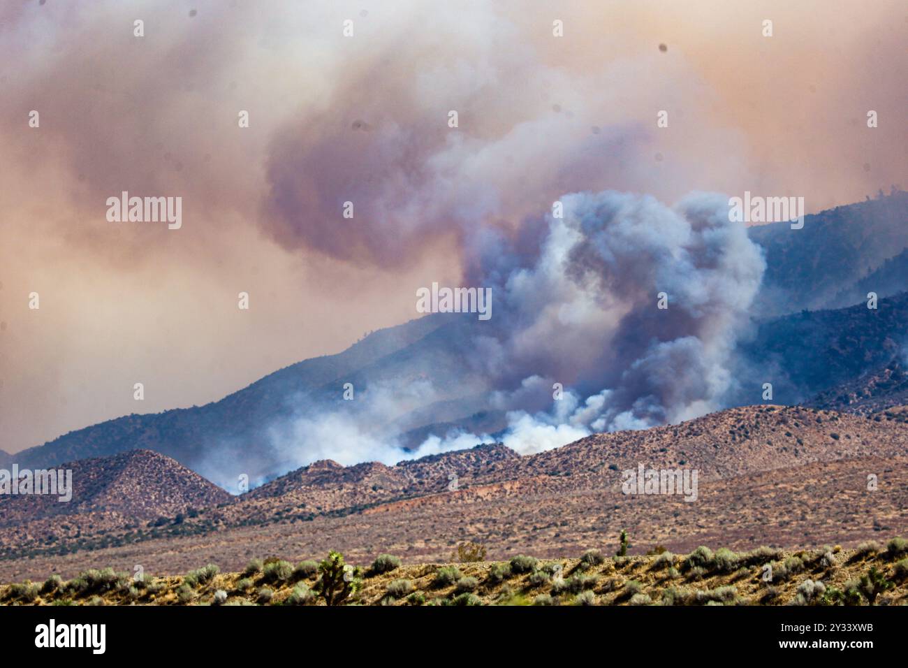 Phelan, Ca, USA. 11th Sep, 2024. Bridge Fire in Angeles National Forest ...