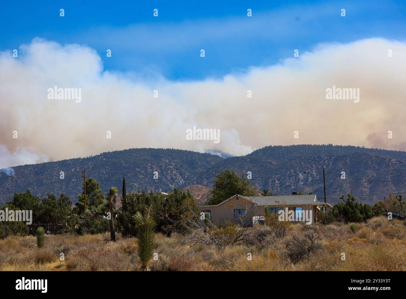 Bridge fire angeles national forest hi-res stock photography and images ...