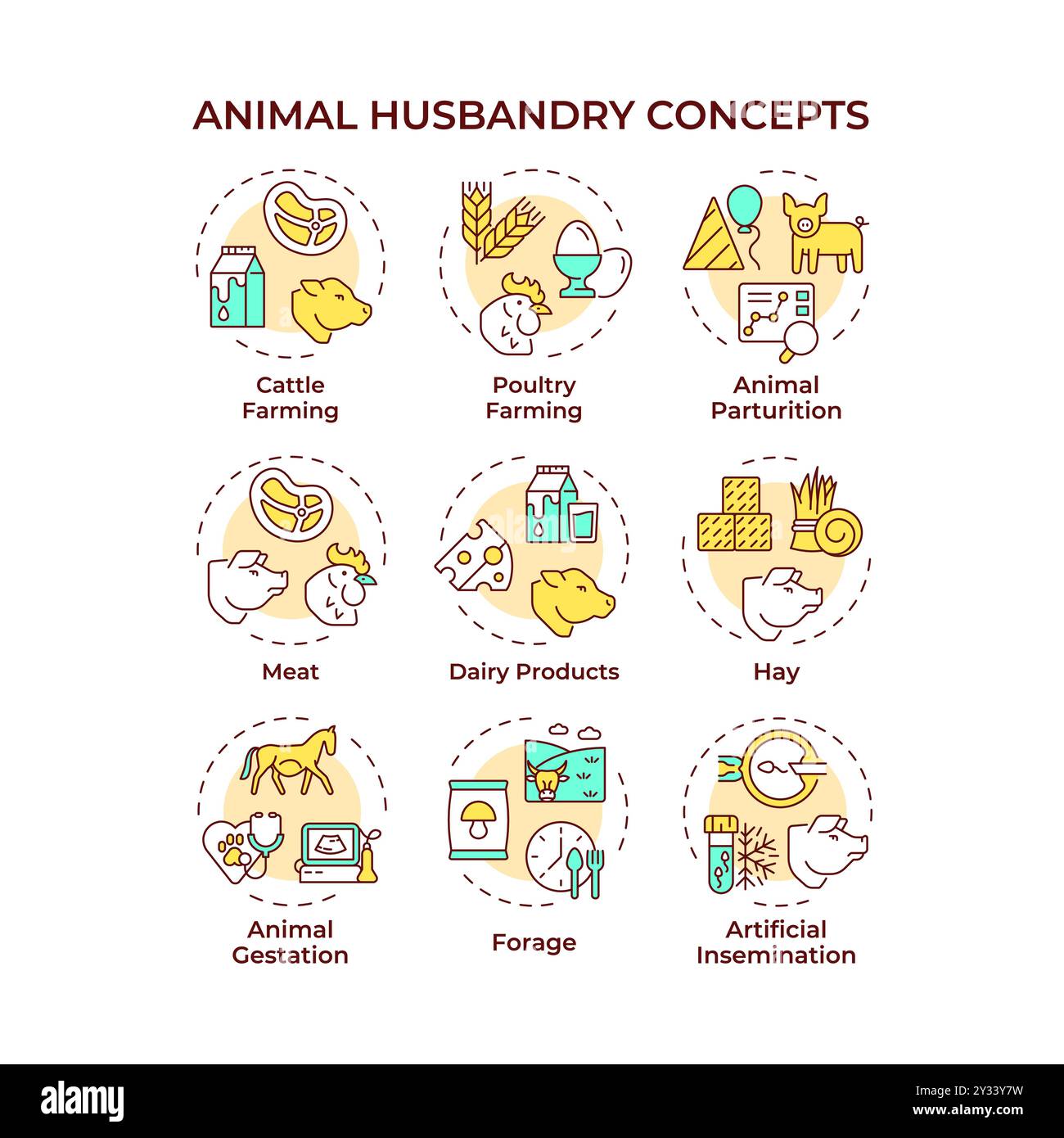 Animal husbandry multi color concept icons Stock Vector Image & Art - Alamy
