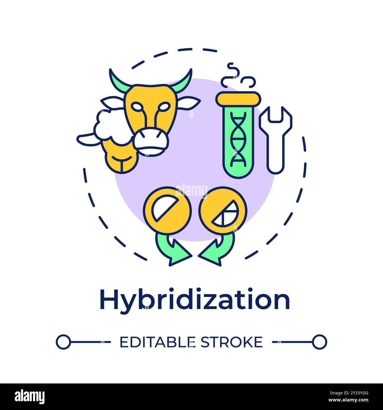Hybridization multi color concept icon Stock Vector Image & Art - Alamy Hybridization multi color concept icon Stock Vector Image & Art - Alamy